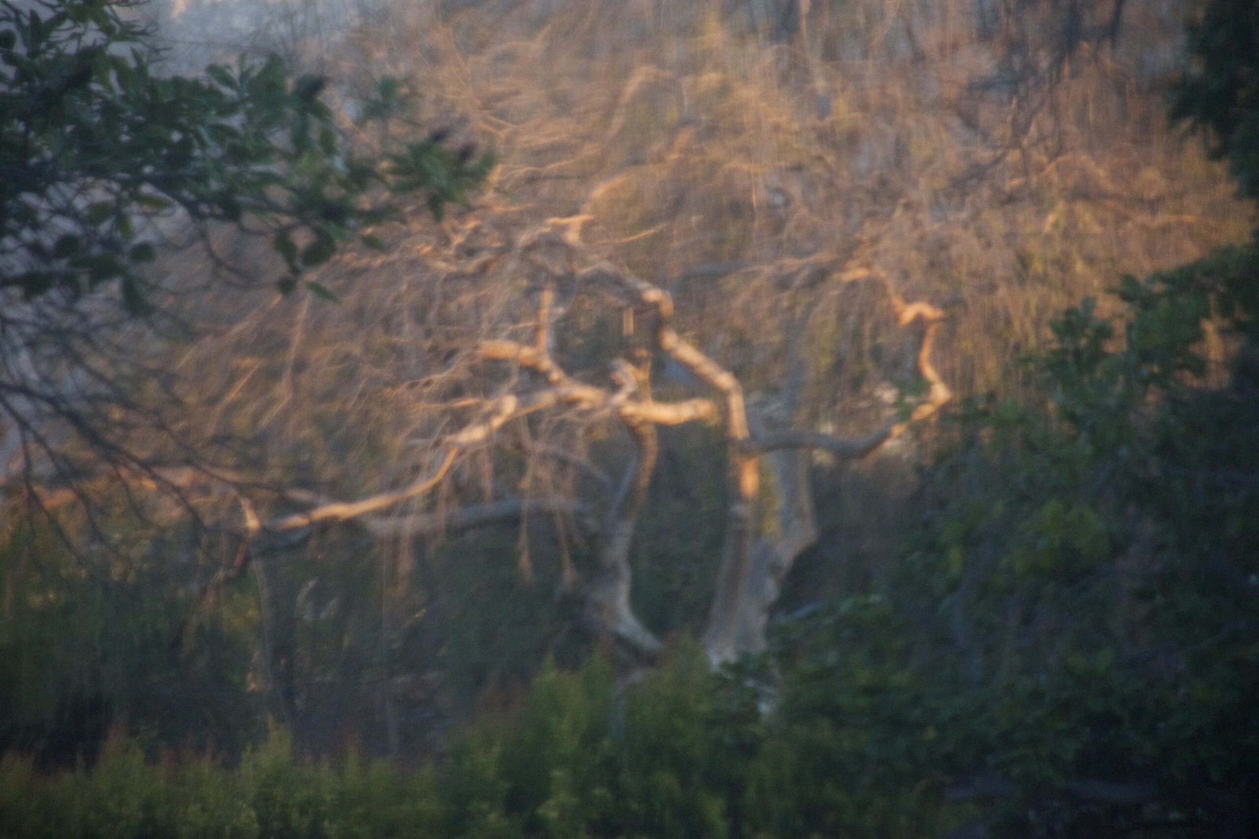 Student Submissions – FineArtClasses Tech Portal